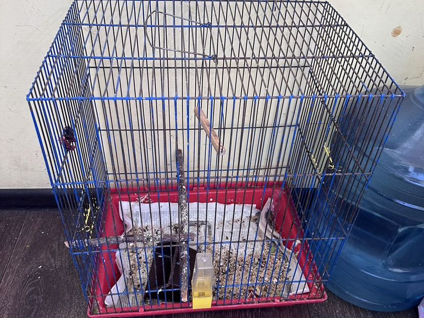 Клетка для птиц бу