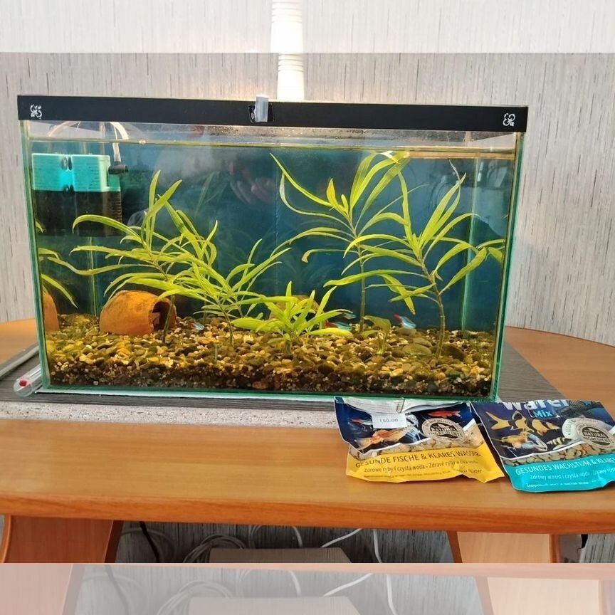 Аквариум 20 литров с рыбками