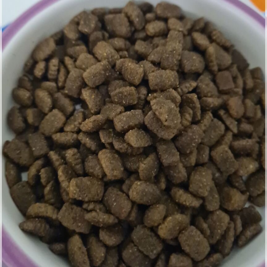 Корм для собак