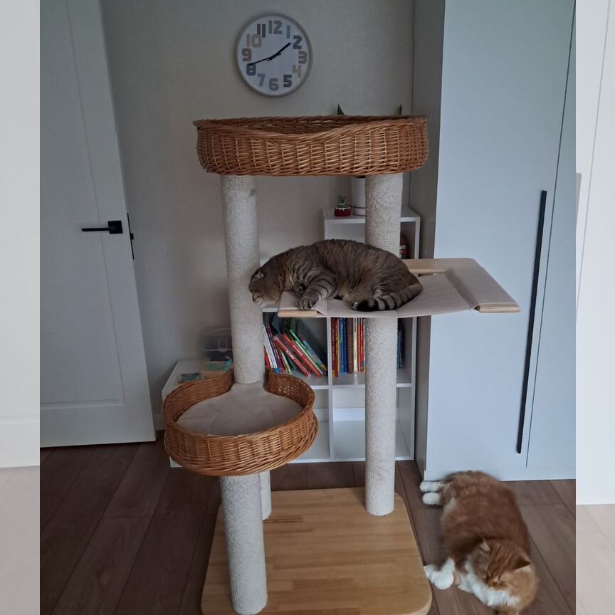 Когтеточка с гамаком для кошек