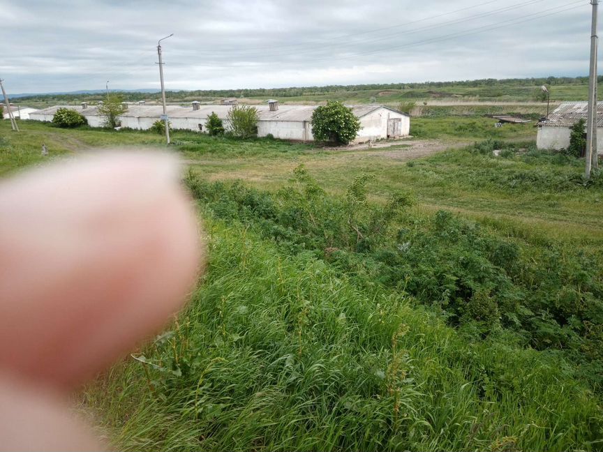 Продается кошара