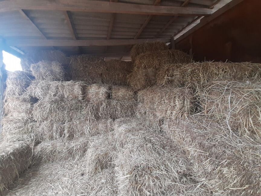 Сено в тюках