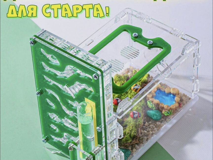 Муравьиная ферма без муравьев