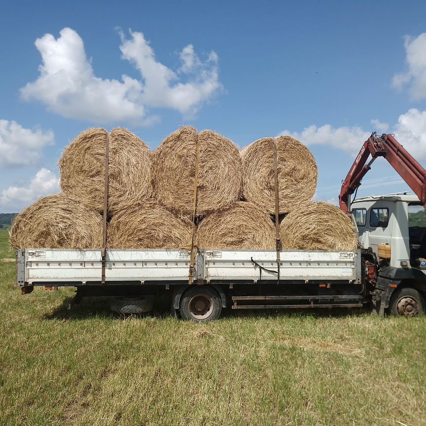 Сено в рулонах