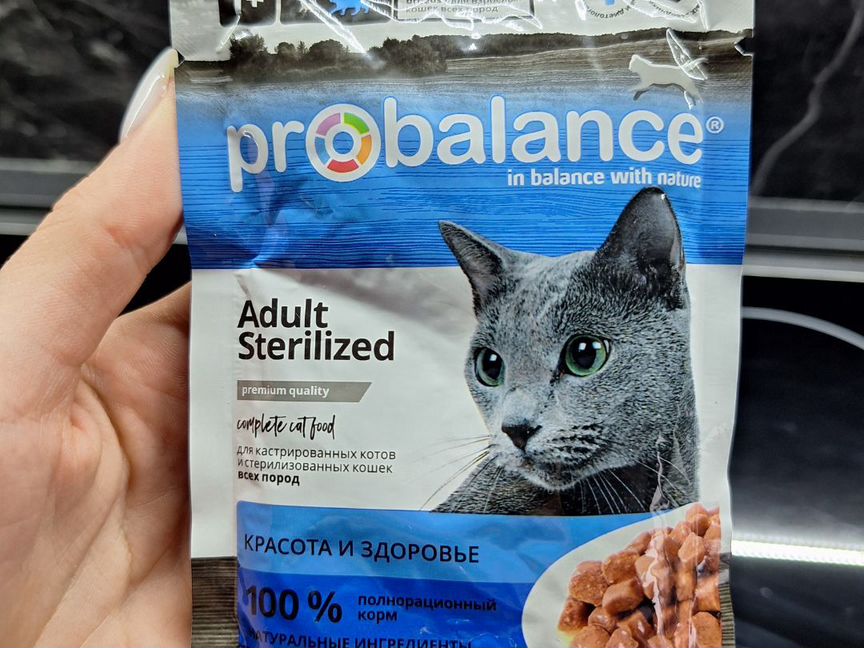 Мокрый корм для кошек