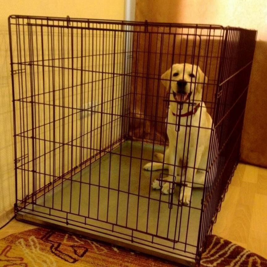 Клетка для собак 150 см на 100