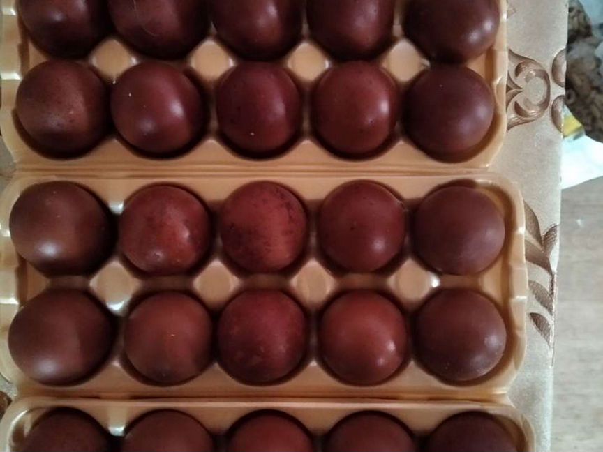 Инкубационное яйцо Марана черно медного