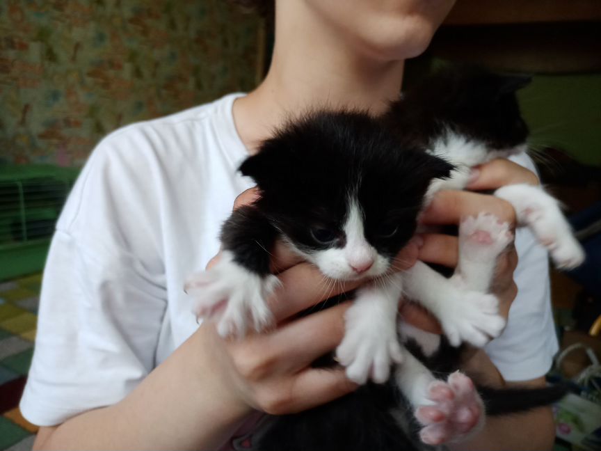 Детки маруськи