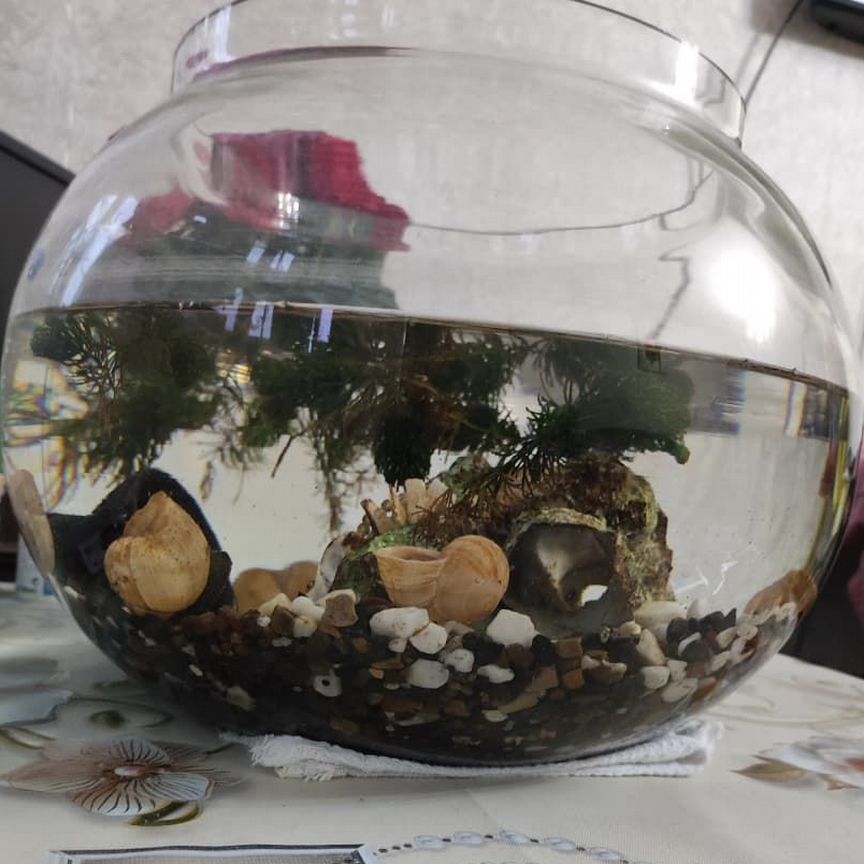 Аквариум для рыбок круглый 20л