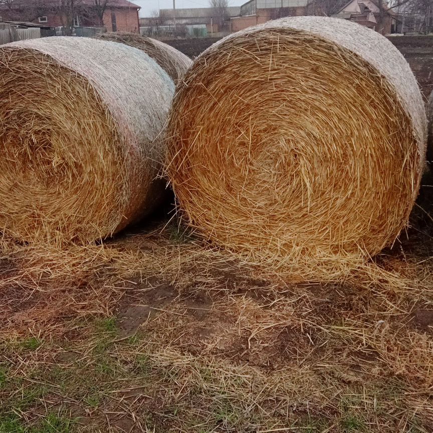 Солома в рулонах