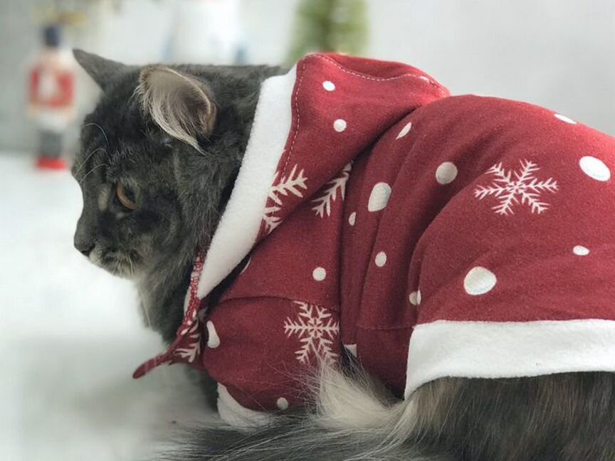 Новогодние костюмы для кошек и собак