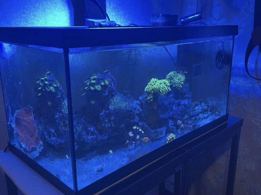 Аквариум eheim aquastar 54L