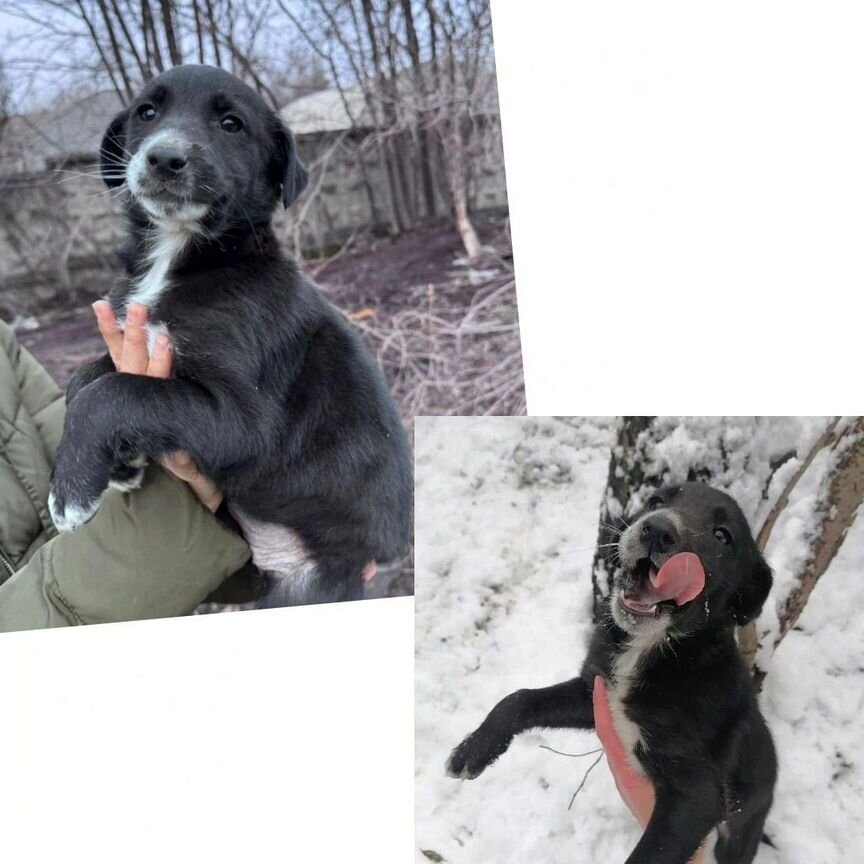 Девочка ищет семью