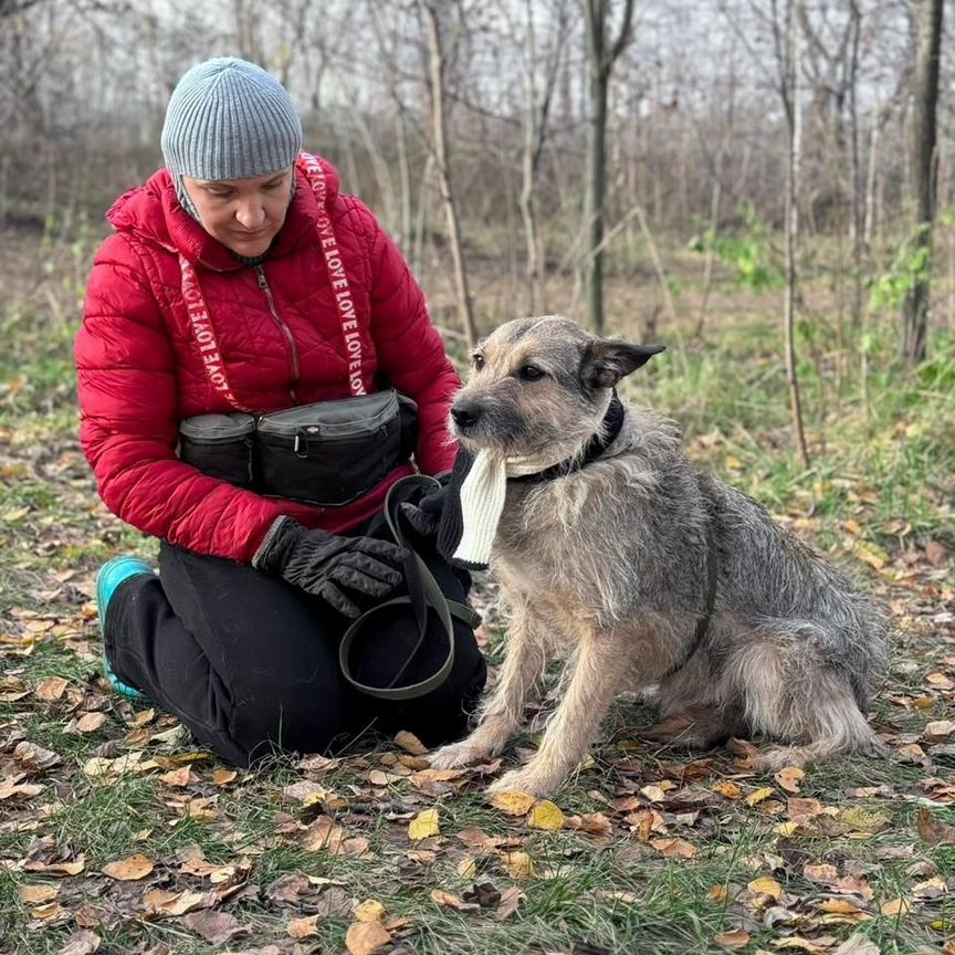 Пес Верный из приюта