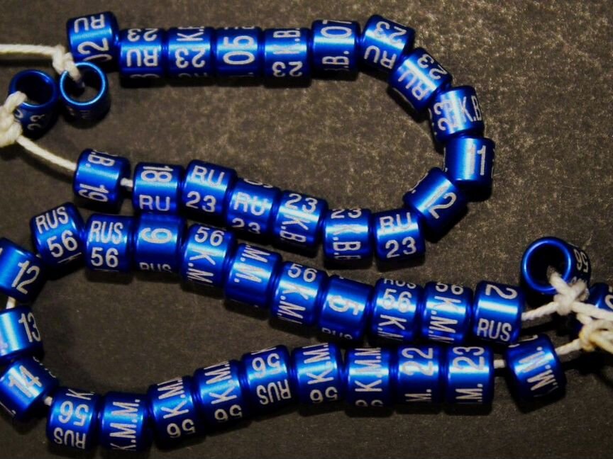 Кольца для канареек, амадинов, попугаев