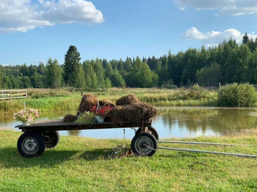 Телега для лошади