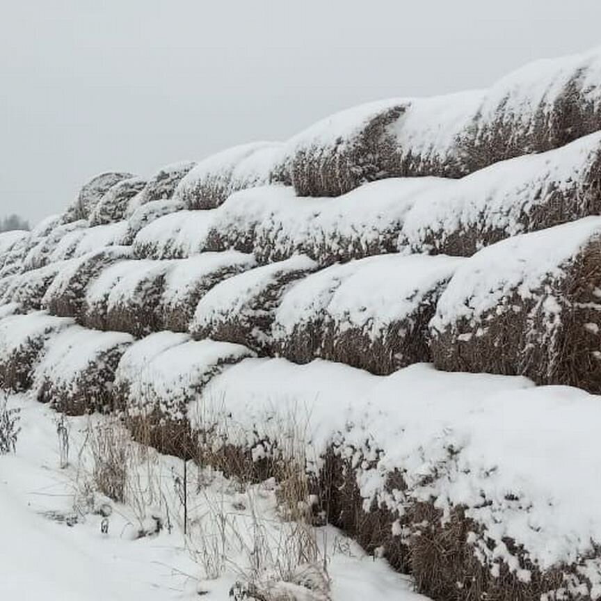 Солома в рулонах