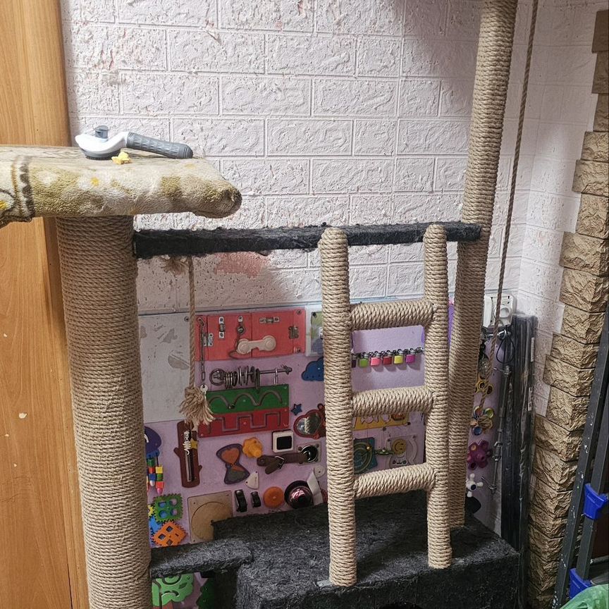 Когтеточка с домиком