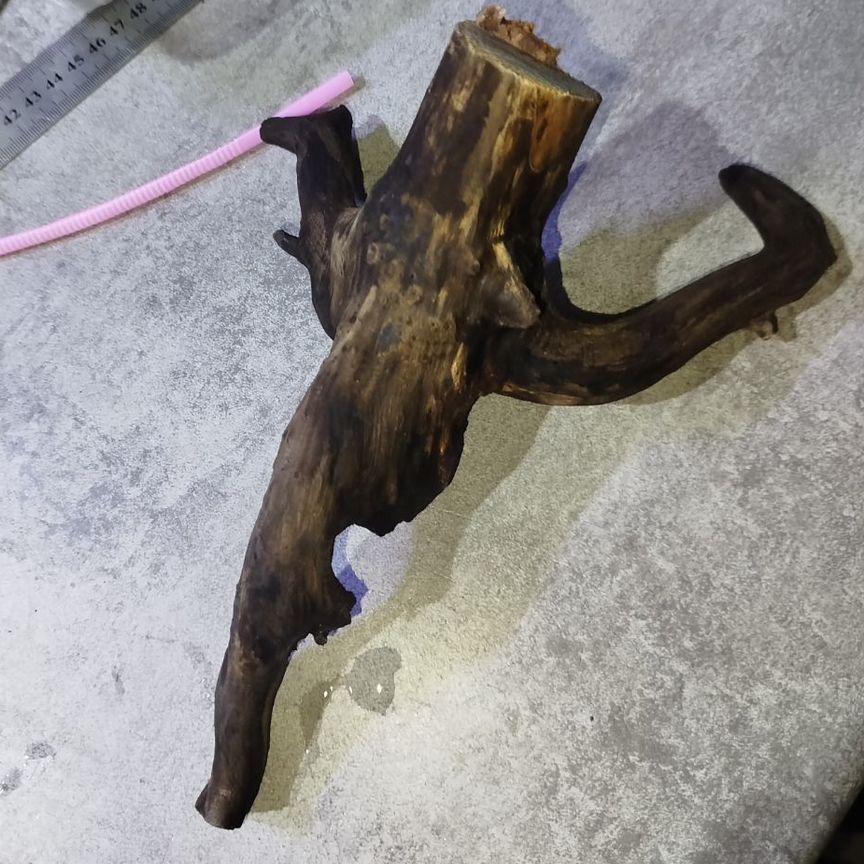 Коряга из яблони