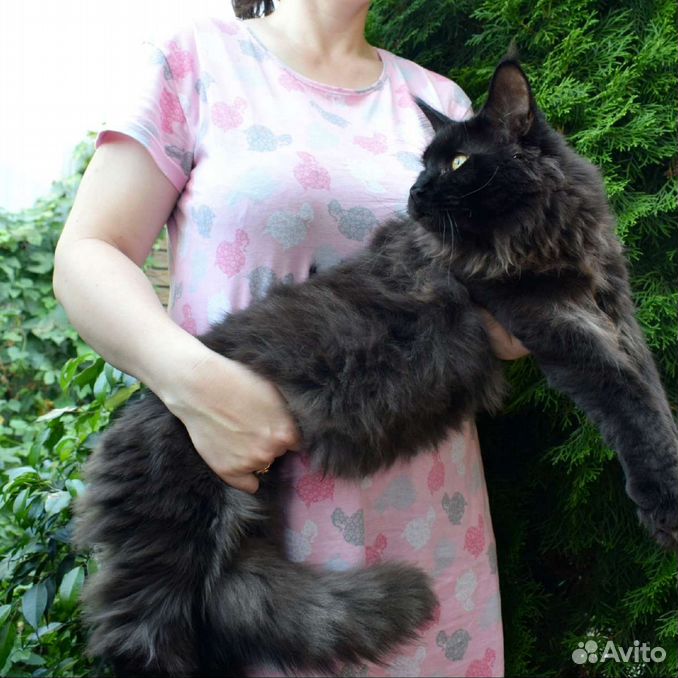 Мальчик чёрный солид