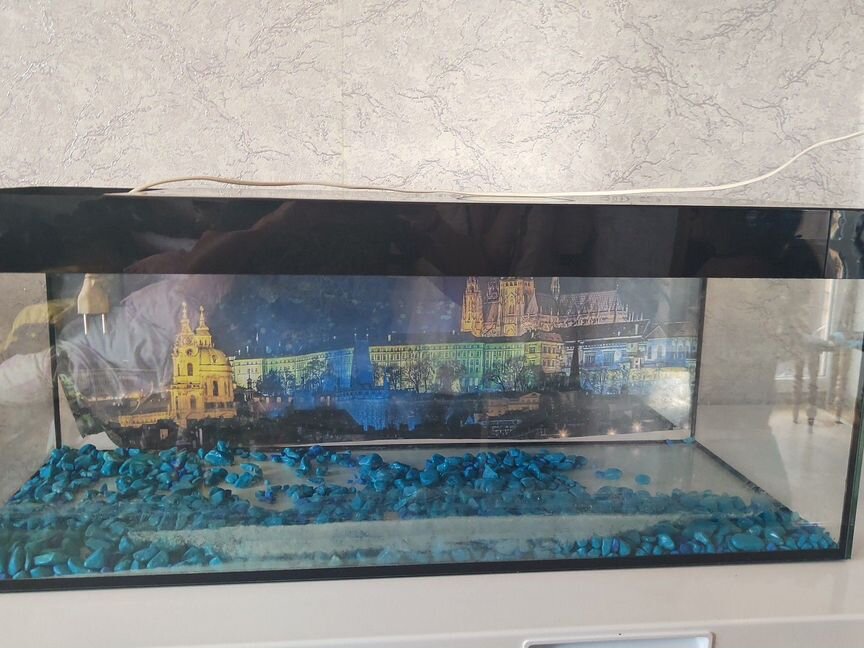 Аквариум