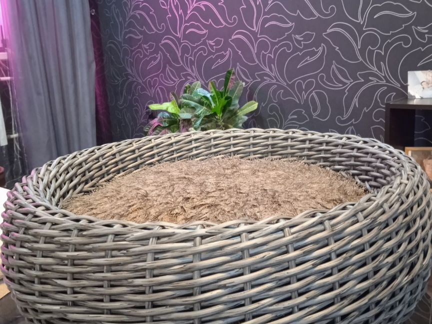 Лежанка для собак и кошек их ротанга