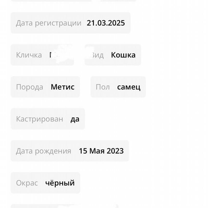 Регистрация чипа животного