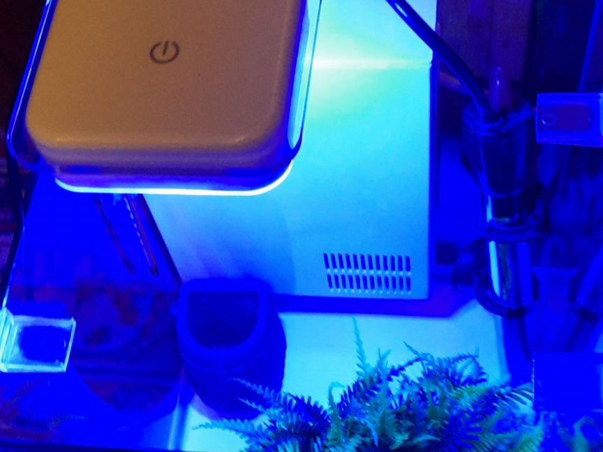 Аквариум со светодиодным светильником