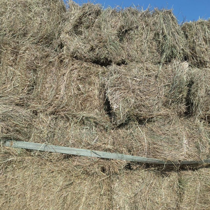 Сено в тюках