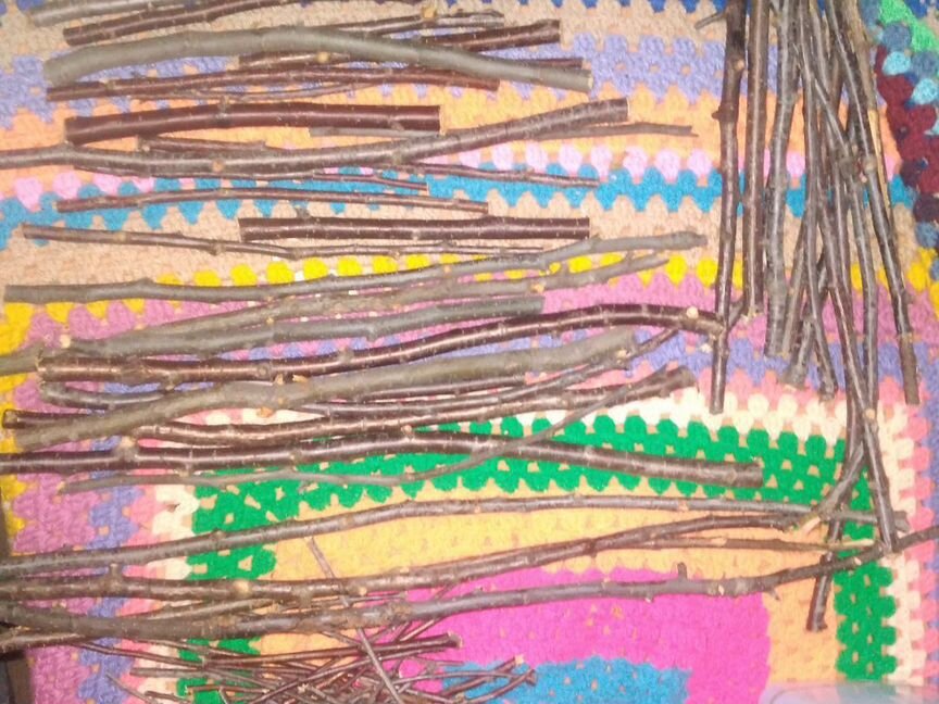 Вишнёвые и яблочные ветки для попугаев и грызунов