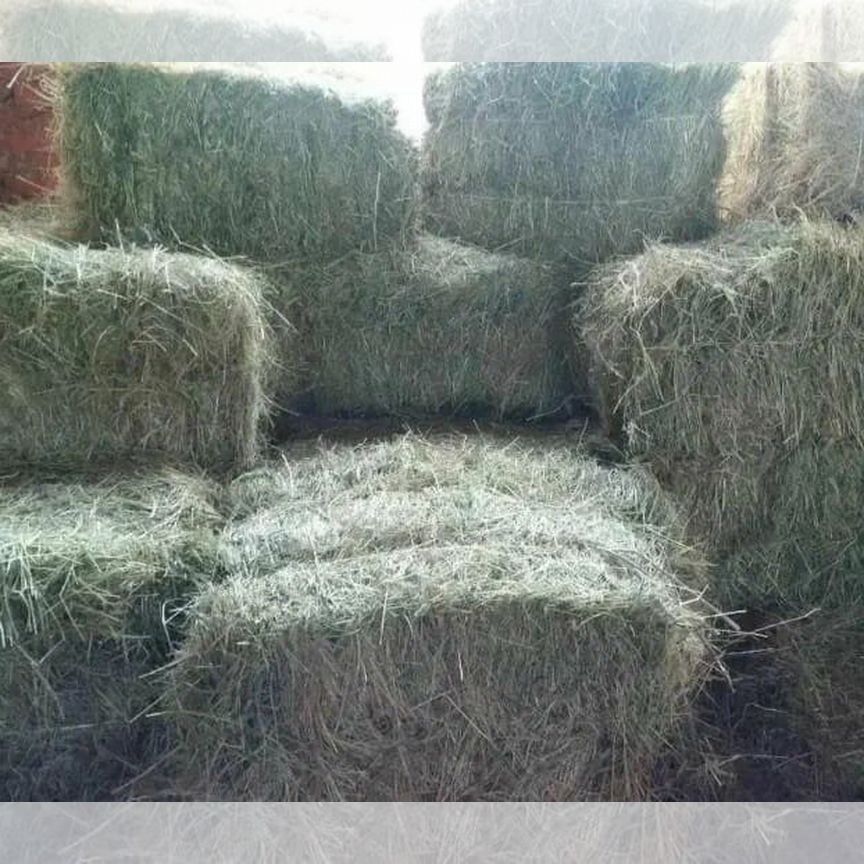 Сено в тюках
