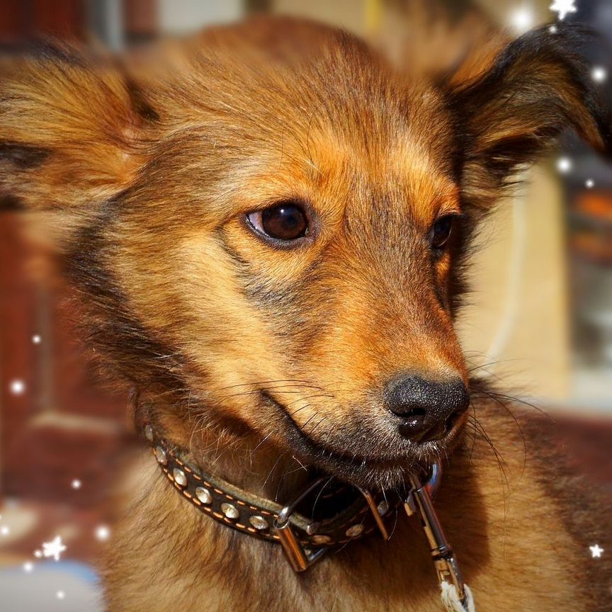 Для тех кто ищет друга