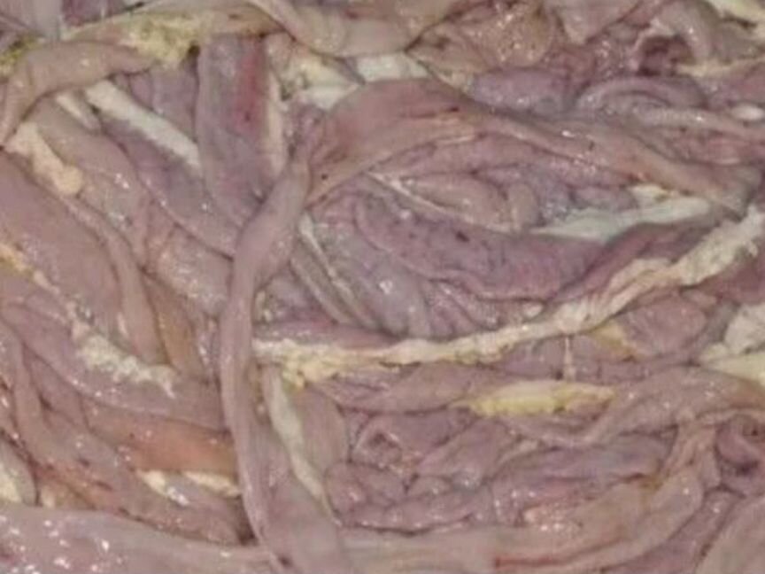 Кишки говяжьи промытые