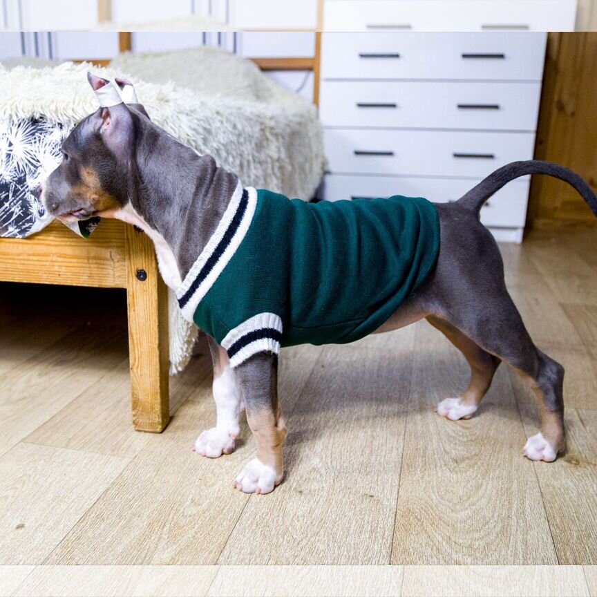 Очаровательная малышка аст