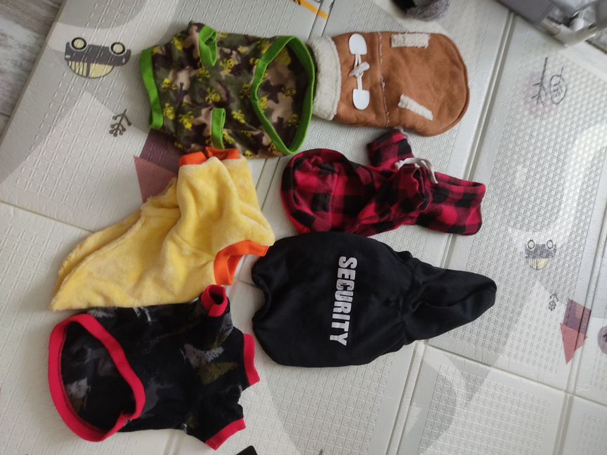 Одежда для собак