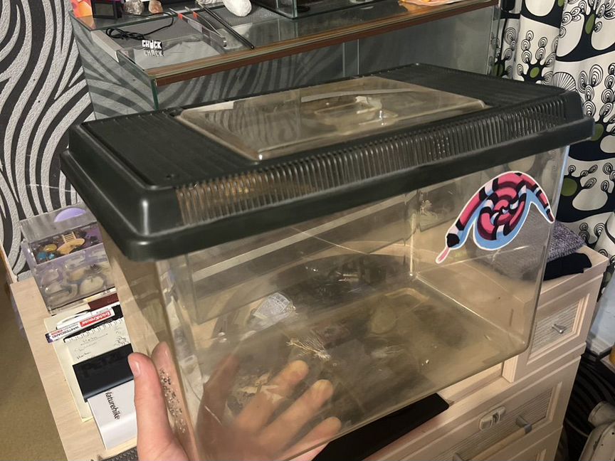 Террариумы большой и маленький