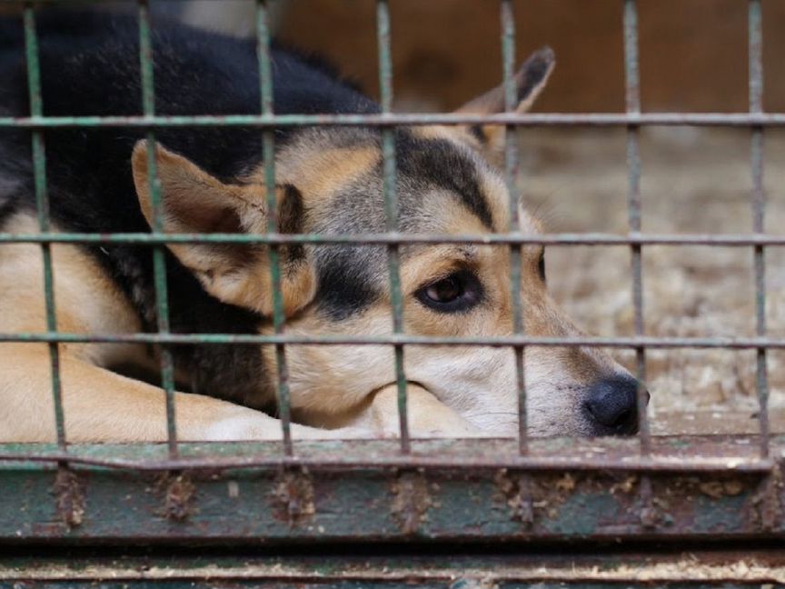 Патрик просто хотел жить