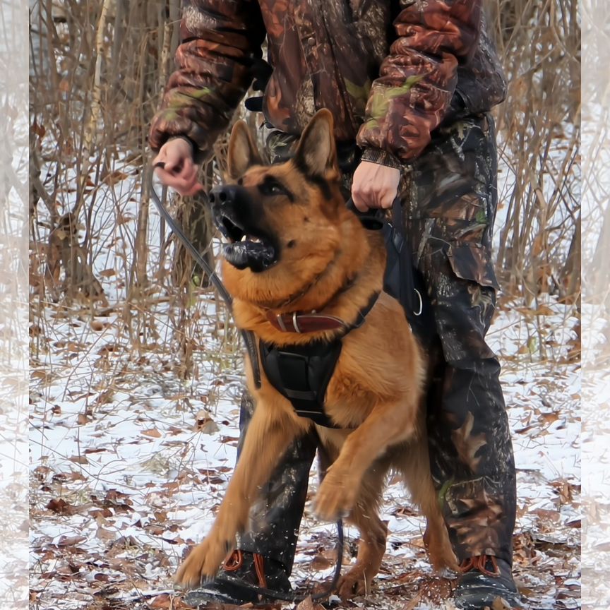 Шлейка К-9 кинологпрофи. М