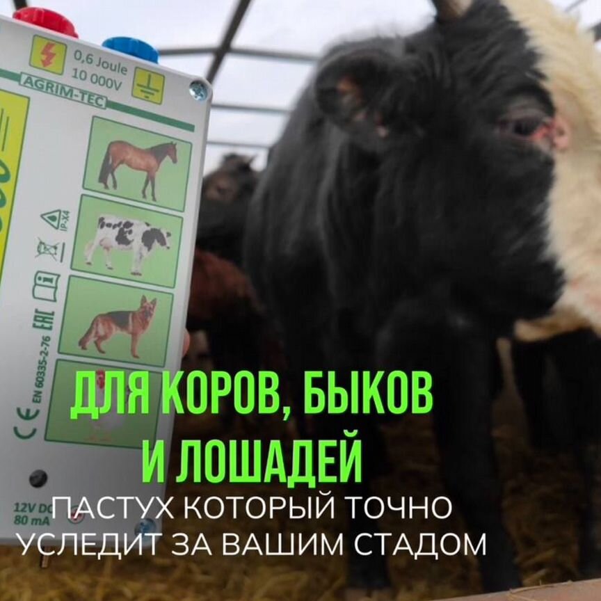 Электропастух, поможем с установкой, рассрочка