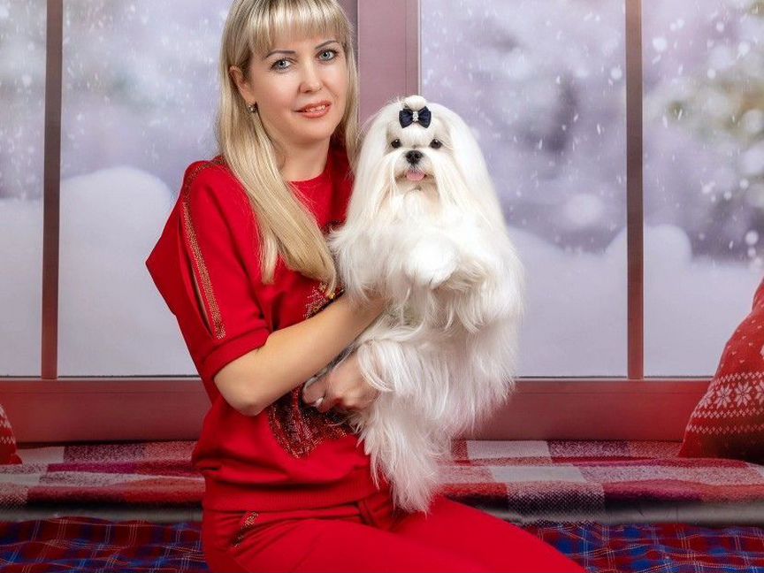 Мальтезе РКФ
