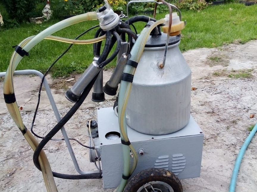 Доильный аппарат бу