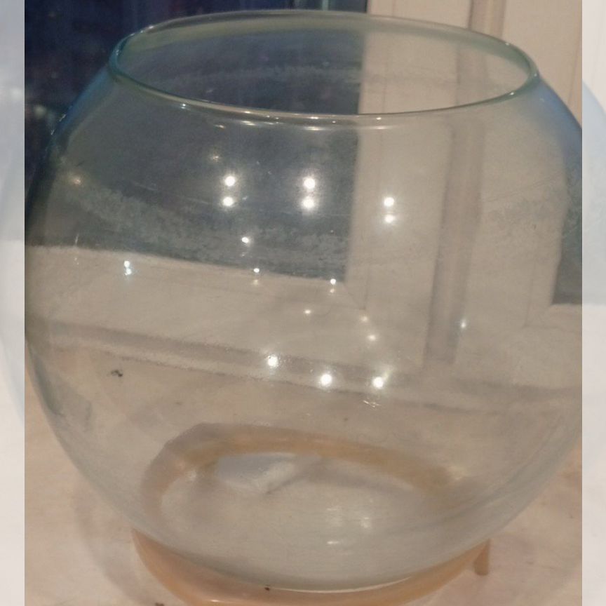 Аквариум для рыб