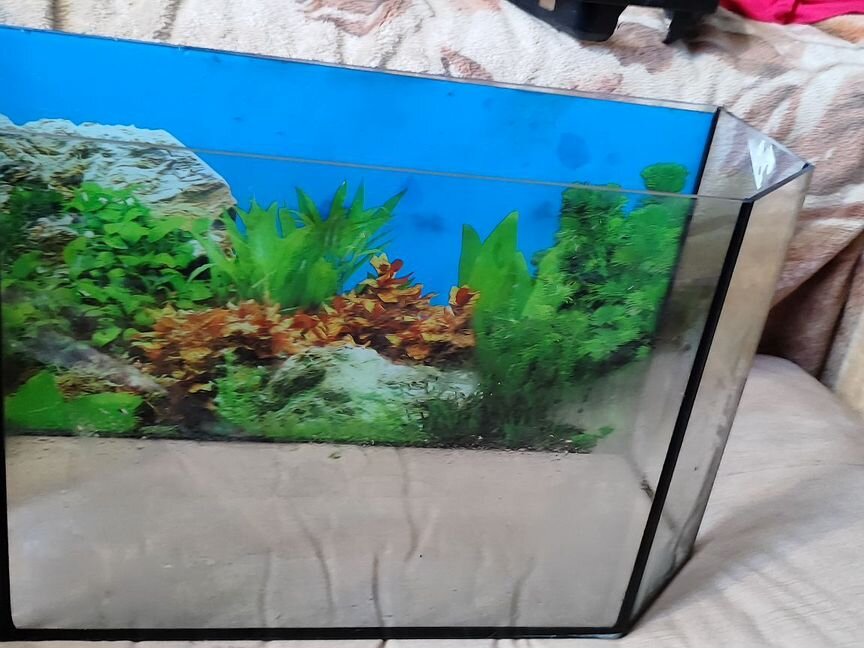 Аквариум с тумбой