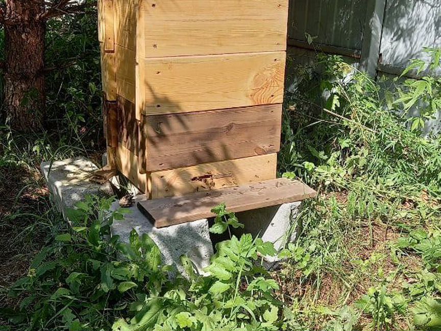 Улики для пчел