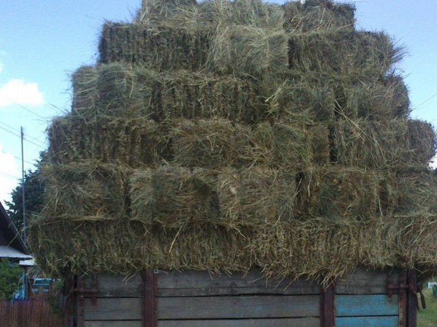 Продается сено
