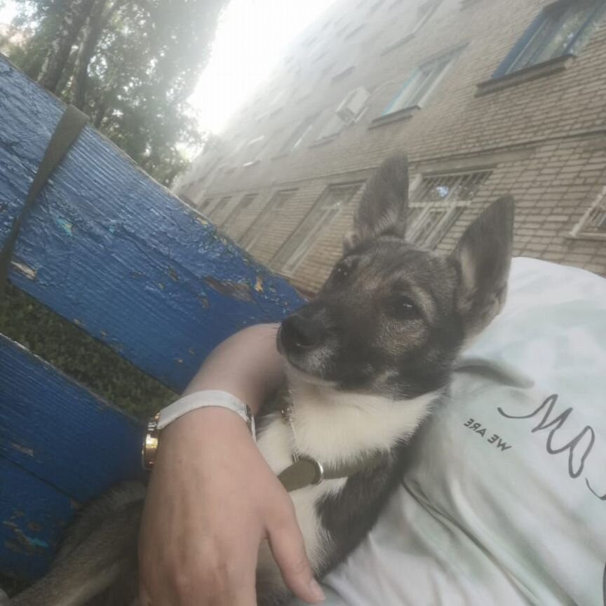 Милая девочка