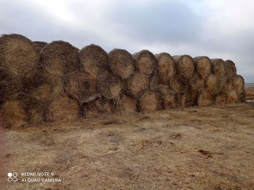 Солома в рулонах