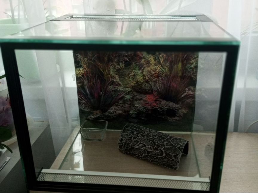 Террариум для рептилий