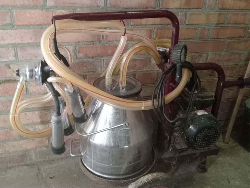 Доильный аппарат бу