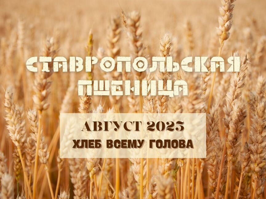 Продаётся зерно. Личный пай